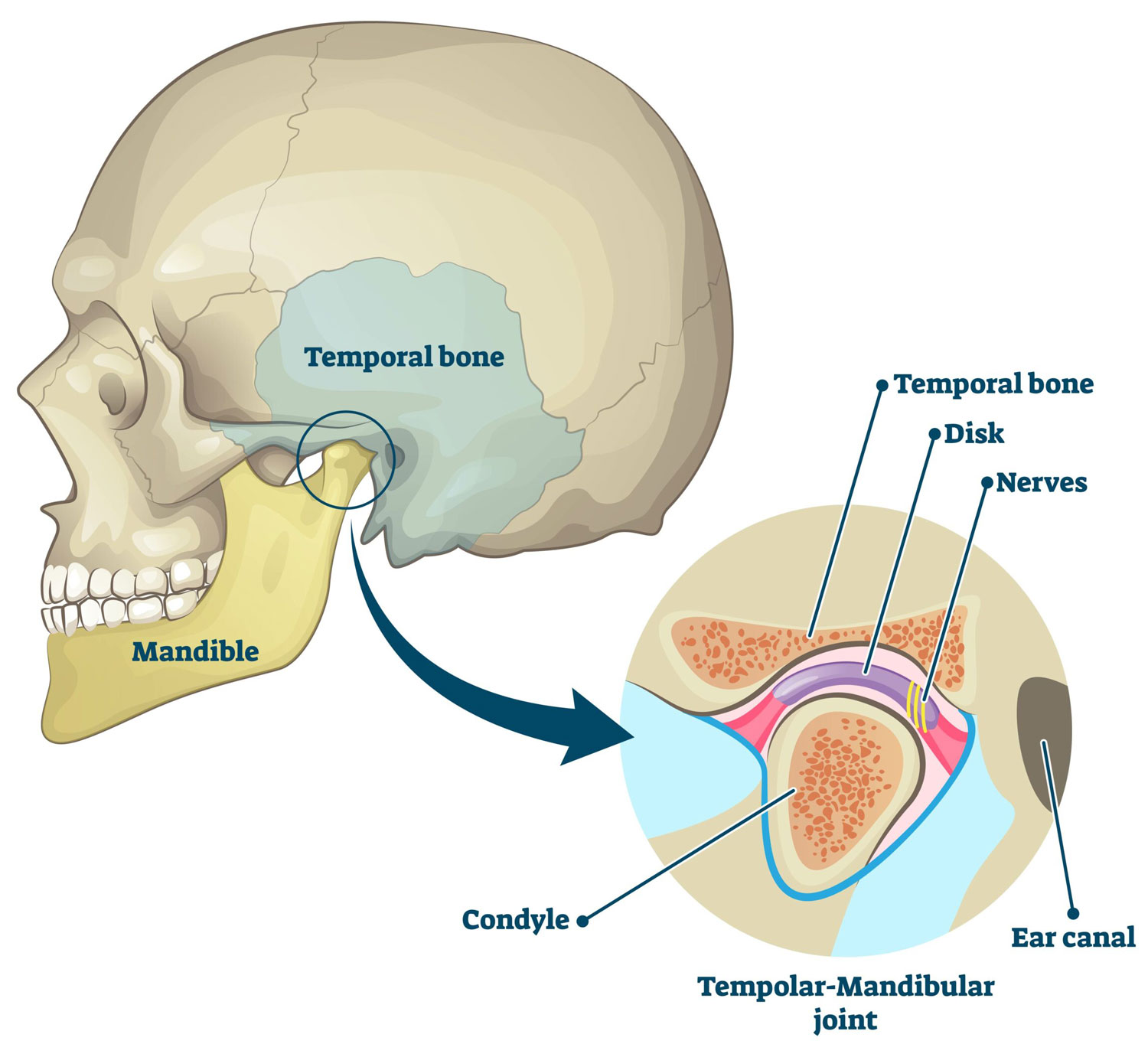 TMJ Therapy - Epoch Integrated Health